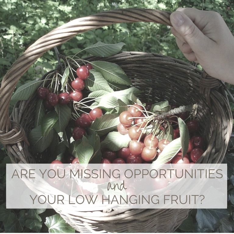 are you missing opportunities and your low hanging fruit? - Leah Goard