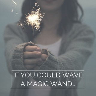 if you could wave a magic wand... - Leah Goard